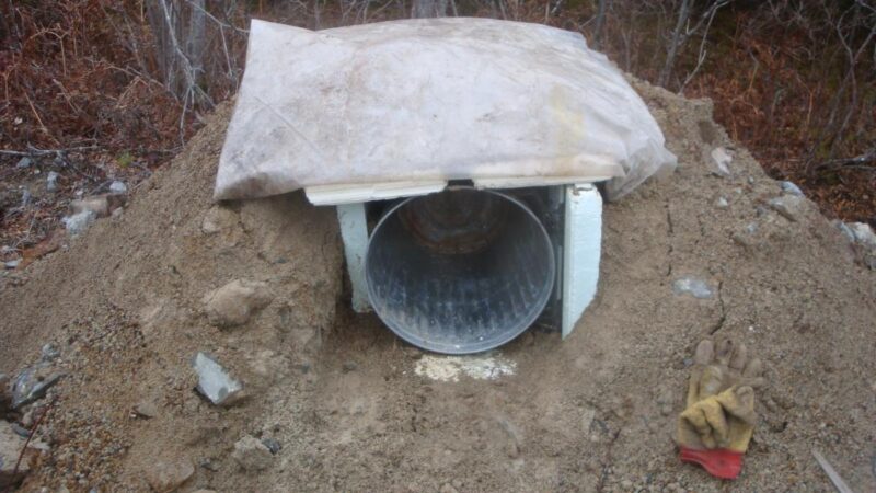 Our Root Cellar Experiences – Mother Earth News